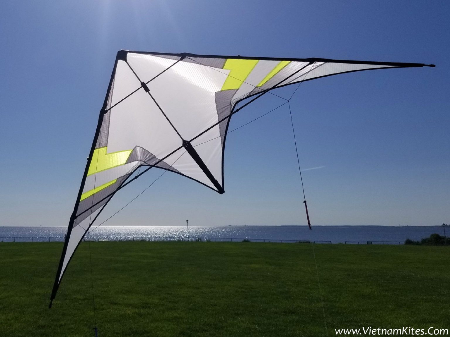 Dual Line Stunt Kite - Vietnam Kites